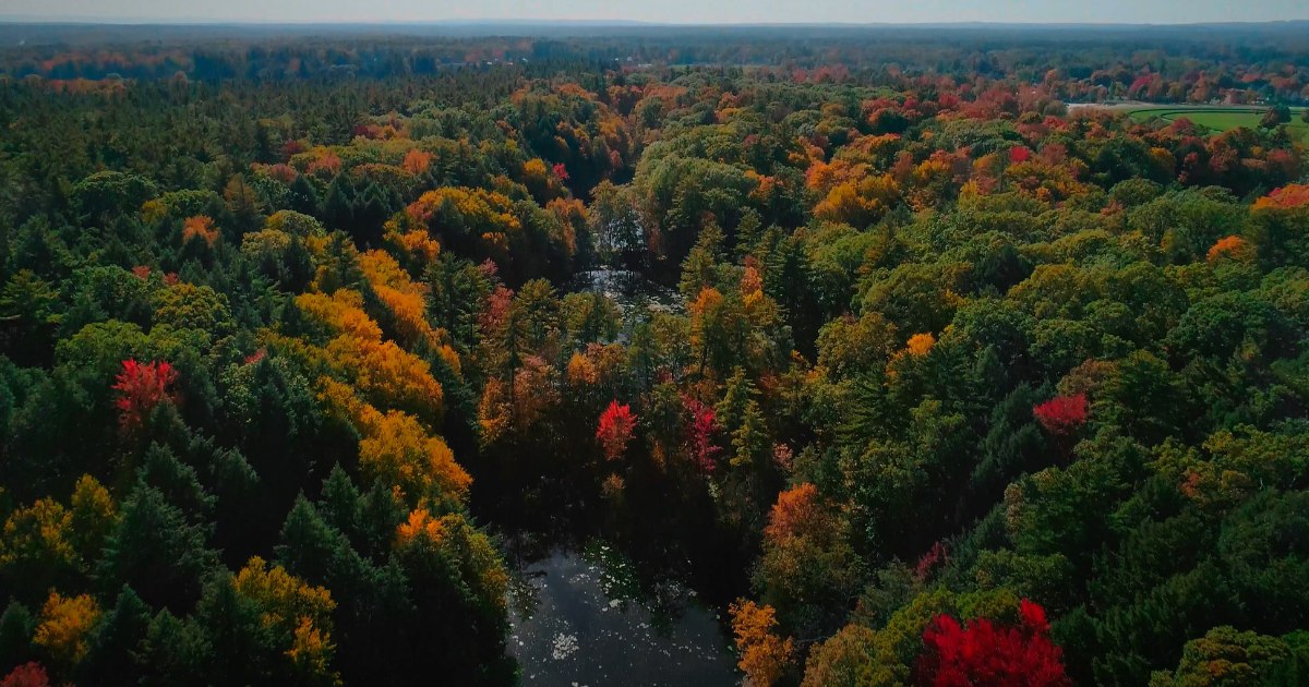Yaddo: The Best Kept Secret in Saratoga